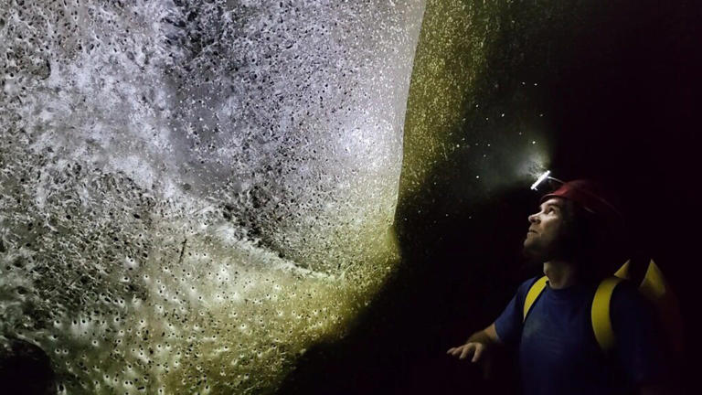 World’s largest spider web discovered