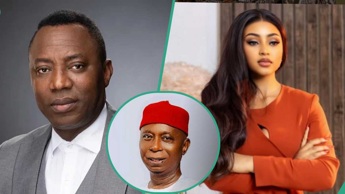 Ned Nwoko: Sowore calls for the release of Regina Daniels’ brother amid ...