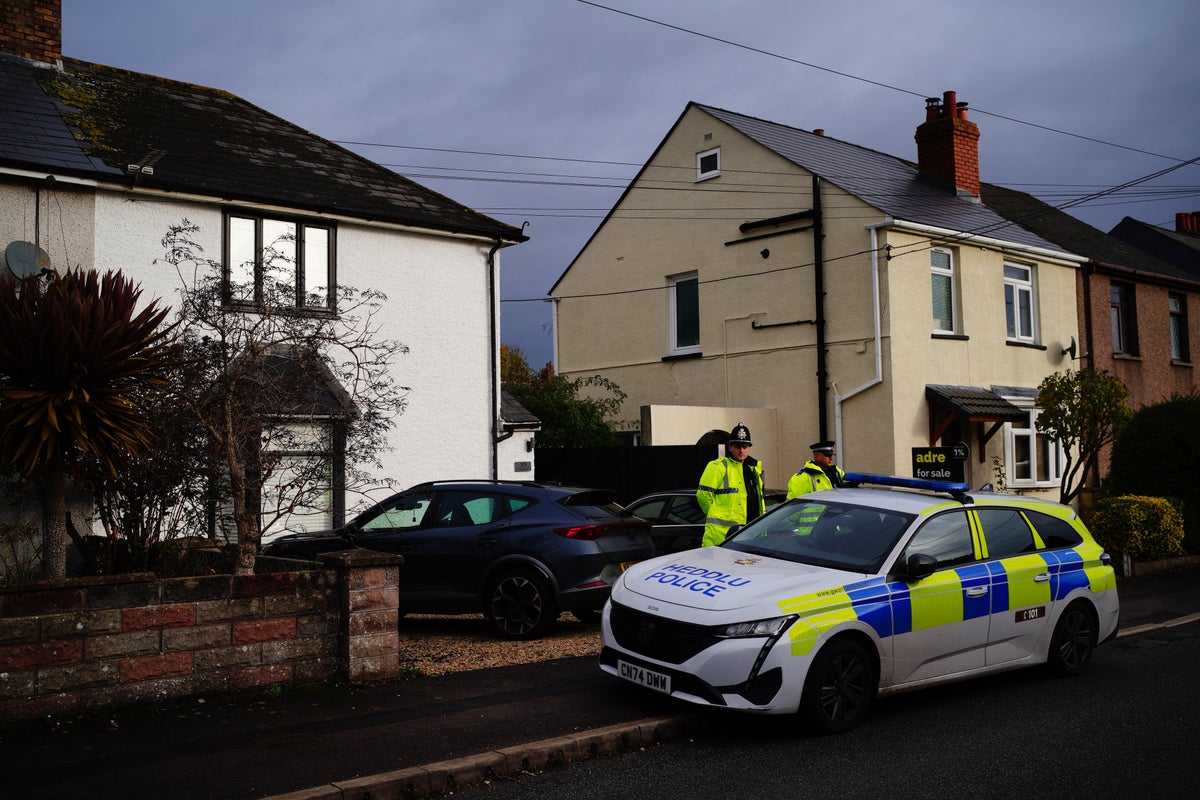 Two people arrested after death of baby boy in XL bully attack