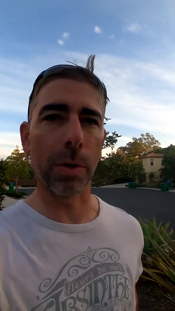 The most epic trip to the mailbox ever #shorts