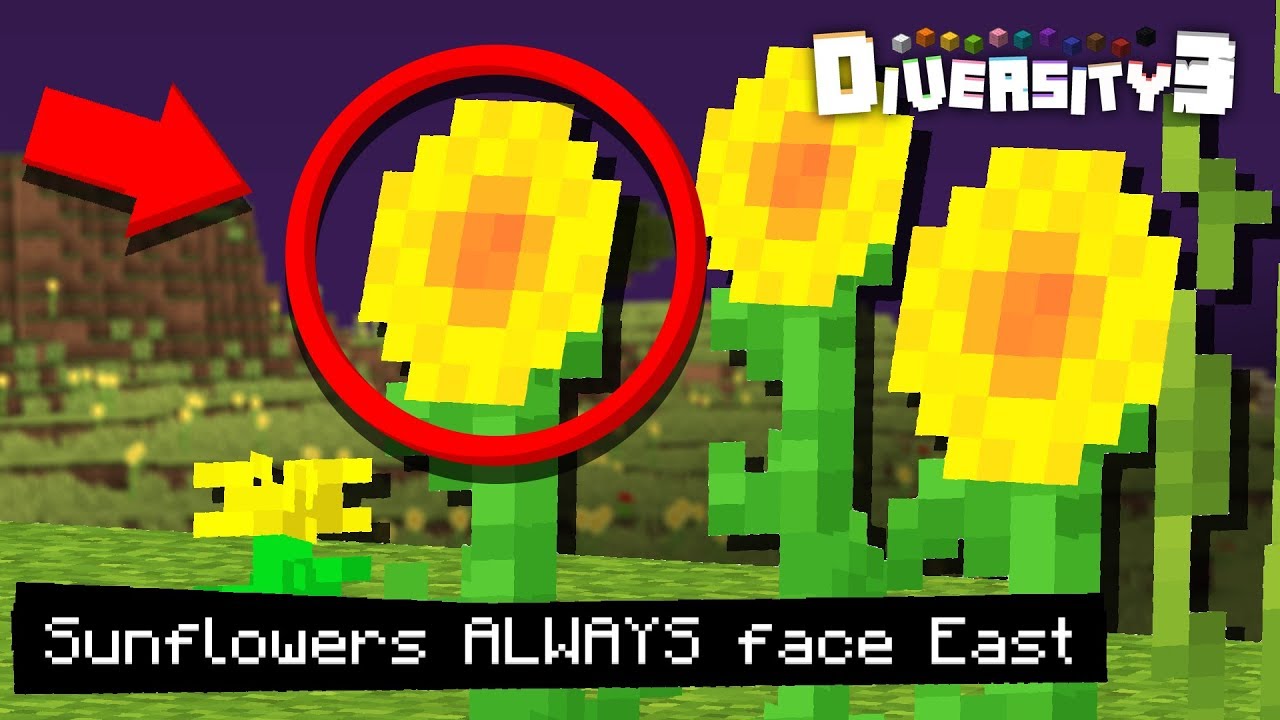 10 things you never noticed about Minecraft (Diversity 3 Trivia)