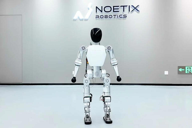 La start-up Noetix dévoile le Bumi, un robot domestique moins cher qu ...