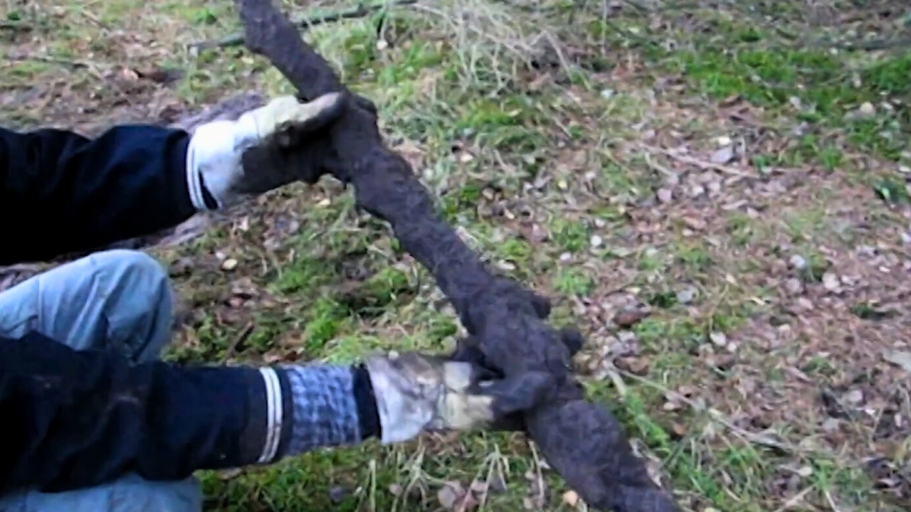 Unearthing the German Border – Relics of the Reich!