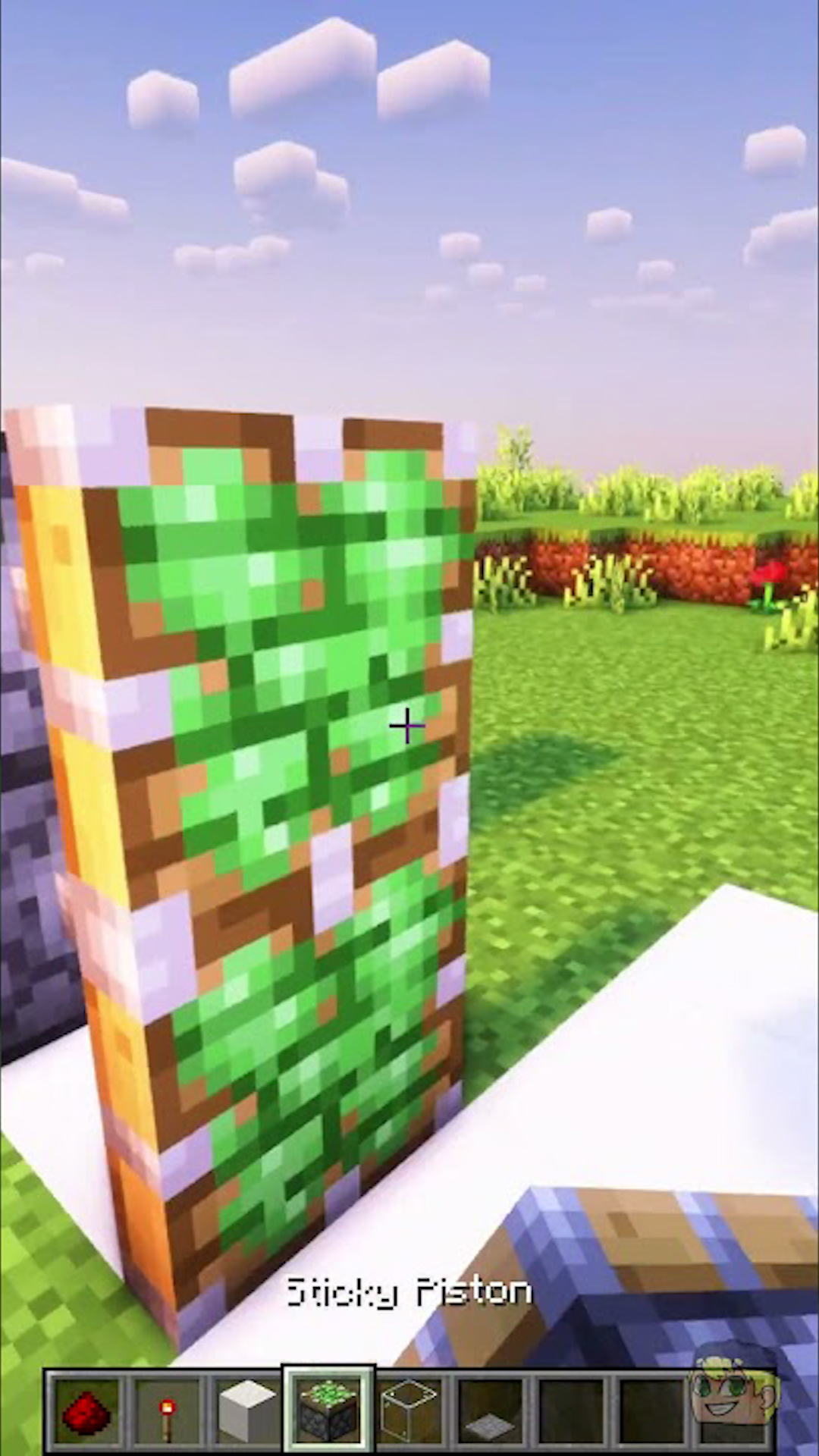 How to Build a Secret Door in Minecraft