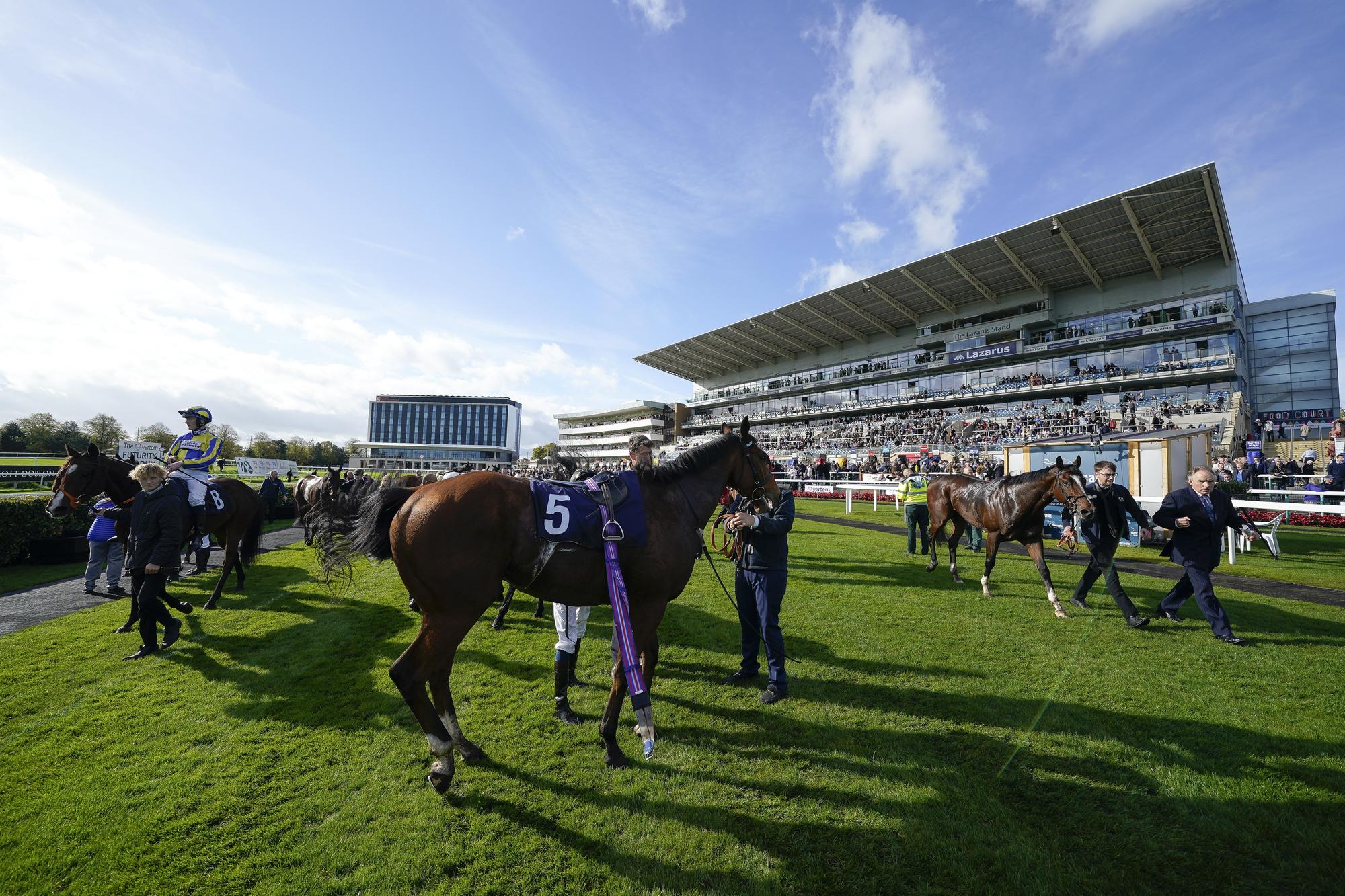 Doncaster Racecourse: Preview and tips for Saturday’s eight-race meeting