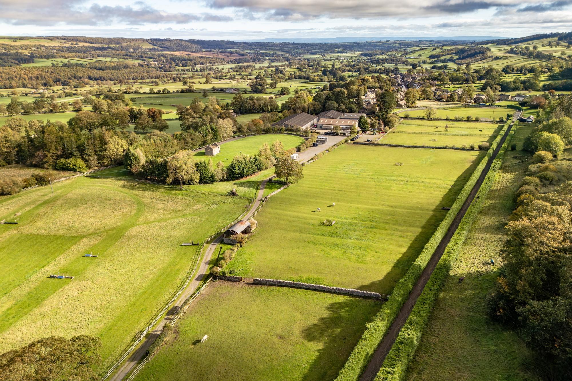 For sale: Former race yard with gallops and indoor school on the market ...