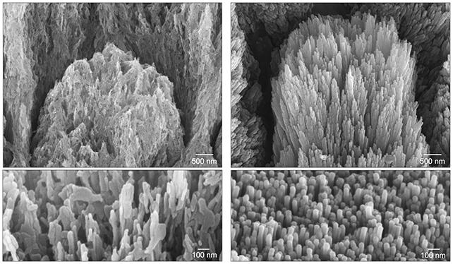 Dentists Could Soon 'Regrow' Your Tooth Enamel With a Simple Gel