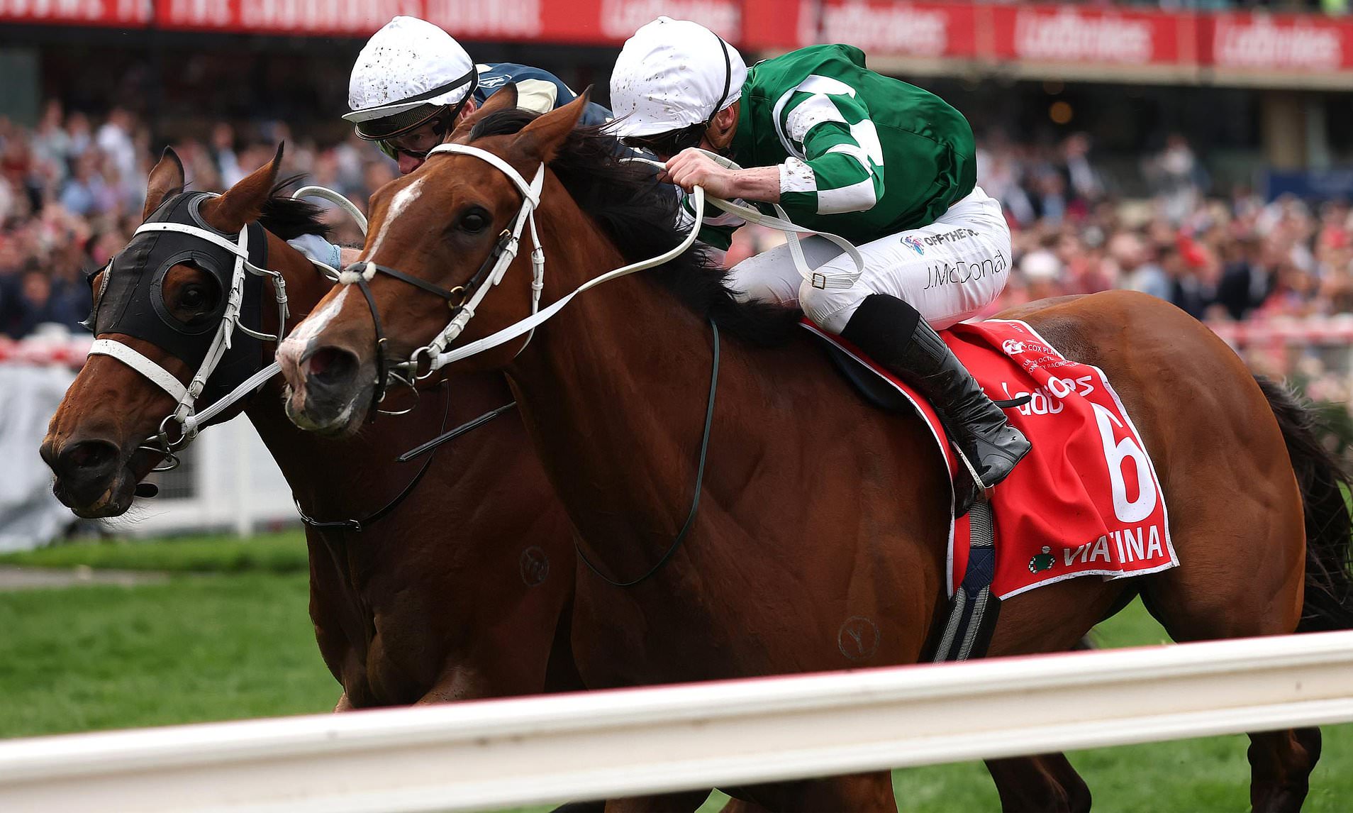 Cox Plate 2025 recap: Via Sistina digs deep to triumph at Moonee Valley ...