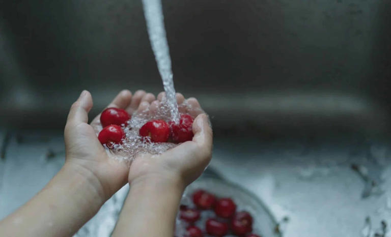 Cherry Tomatoes Linked to Salmonella Outbreak in the UK — Are You at Risk?