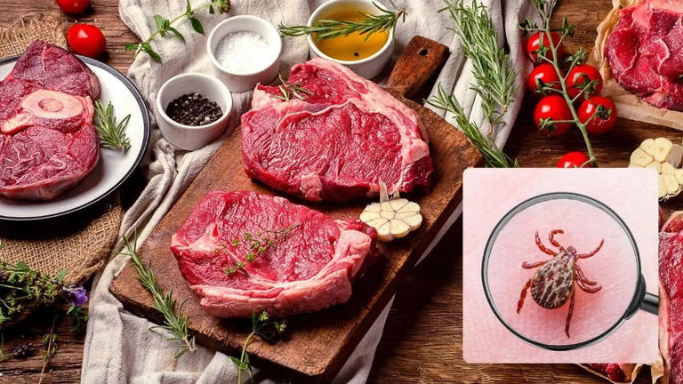 Can A Tick Bite Make You Allergic To Steak? The Surprising Science ...