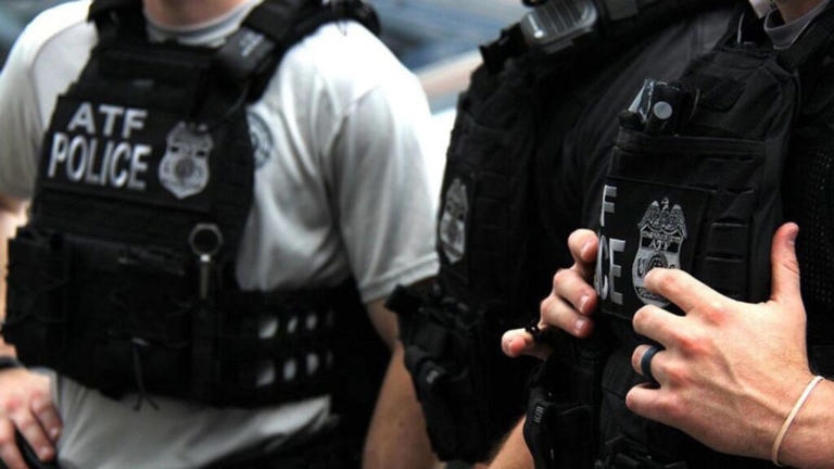 Former Undercover ATF Agent: Criminals Can Obtain Guns Anywhere in ...