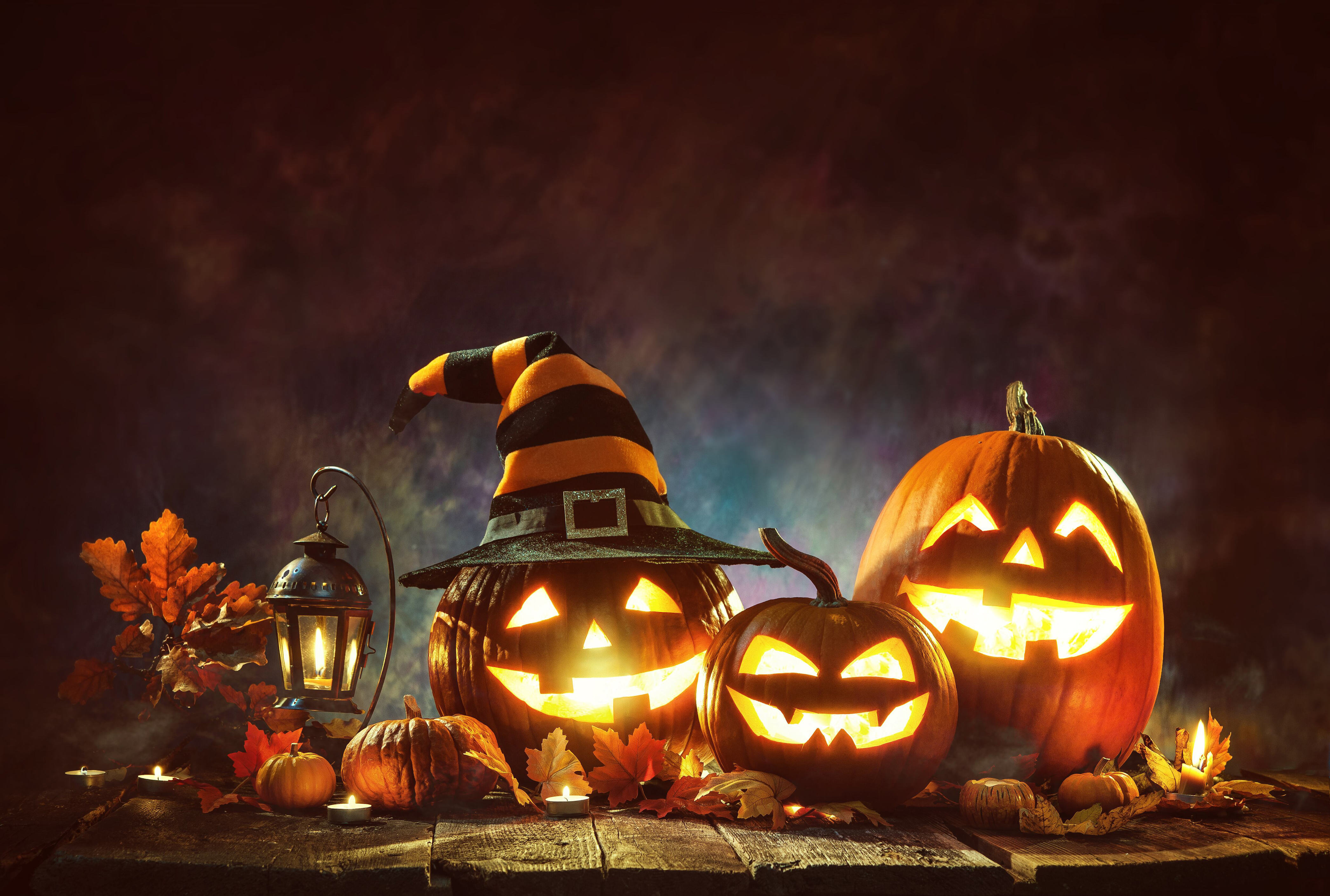 Pumpkin Glow celebrates rain or shine with live music, vendors ...