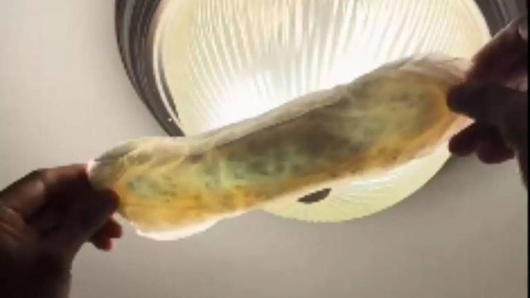 Mould in your pad? Viral TikTok video makes women rethink what they are ...