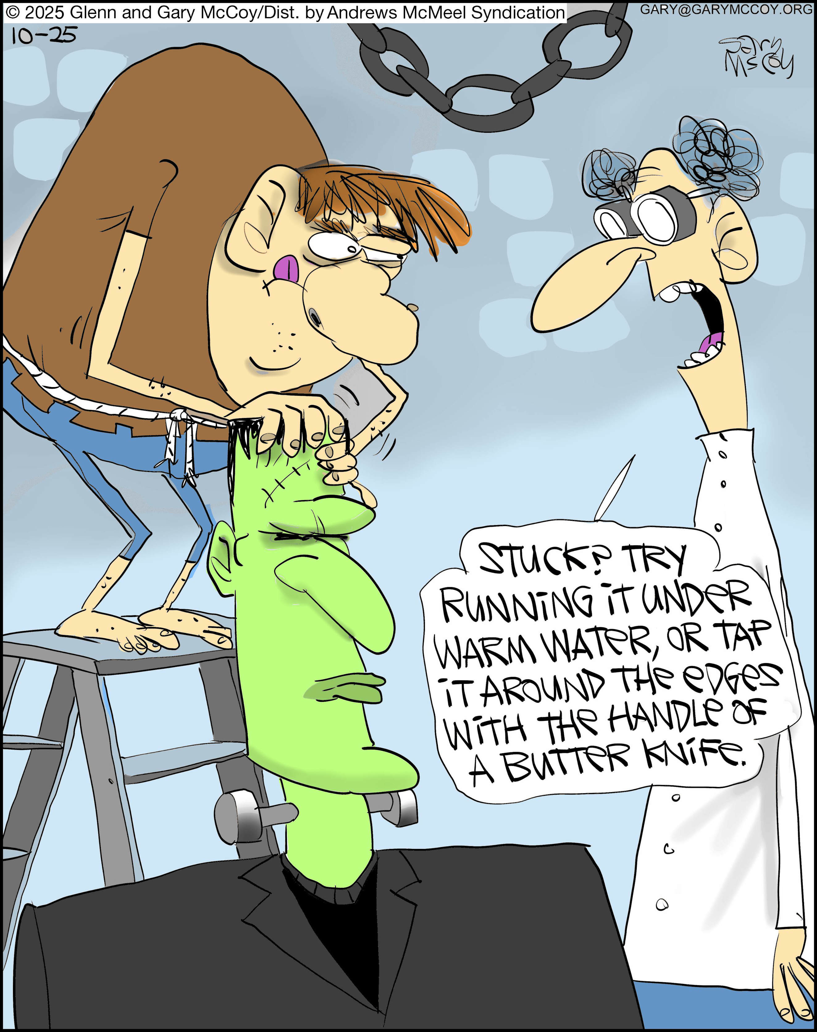 The Flying McCoys by Glenn and Gary McCoy