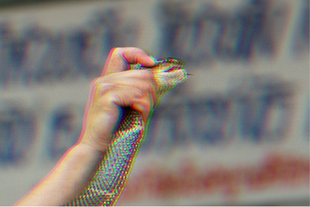 New snake species discovered in west China's bio-diverse region