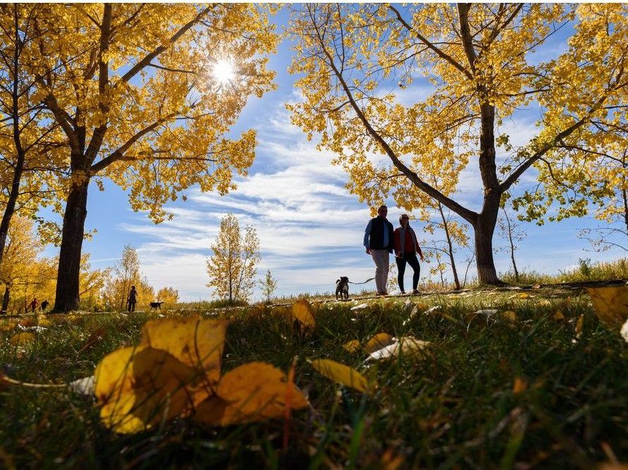 Best walks of Calgary: Jackrabbit Trail and Weaselhead Flats Park