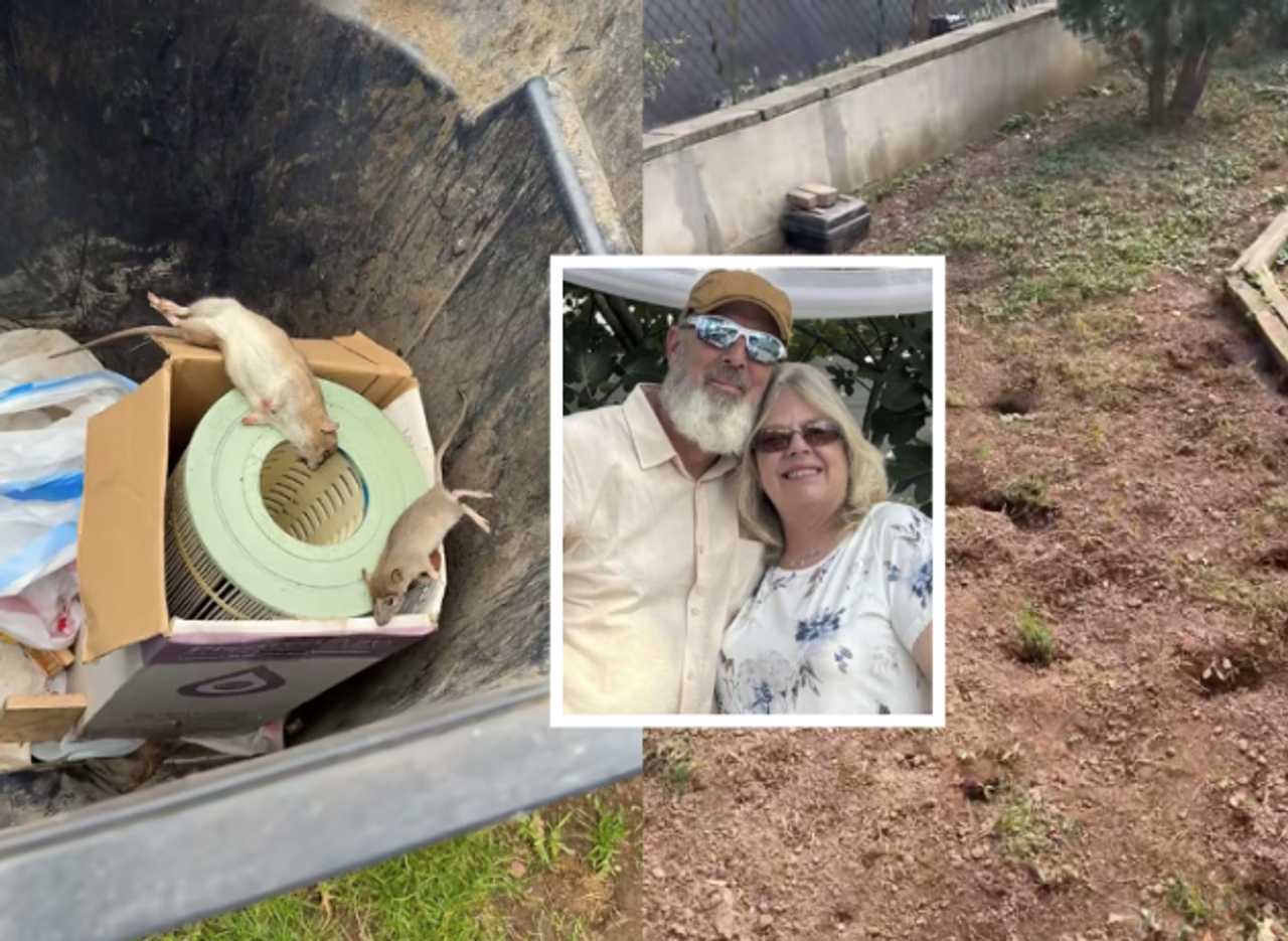 NJ Family’s Rat Nightmare Caught On Viral Video — And New Warehouse To ...