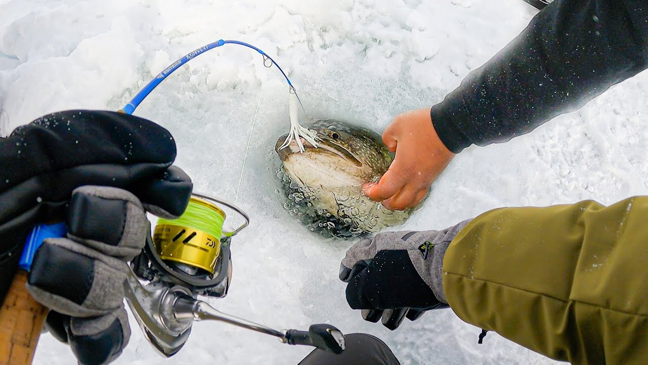 Tiny rod catches giant fish out of a small ice hole