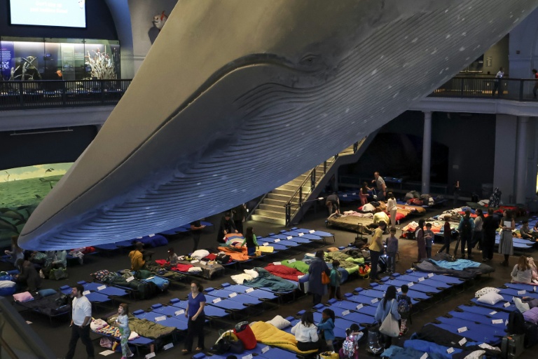 Soirée pyjama avec les dinosaures du musée d'histoire naturelle de New York