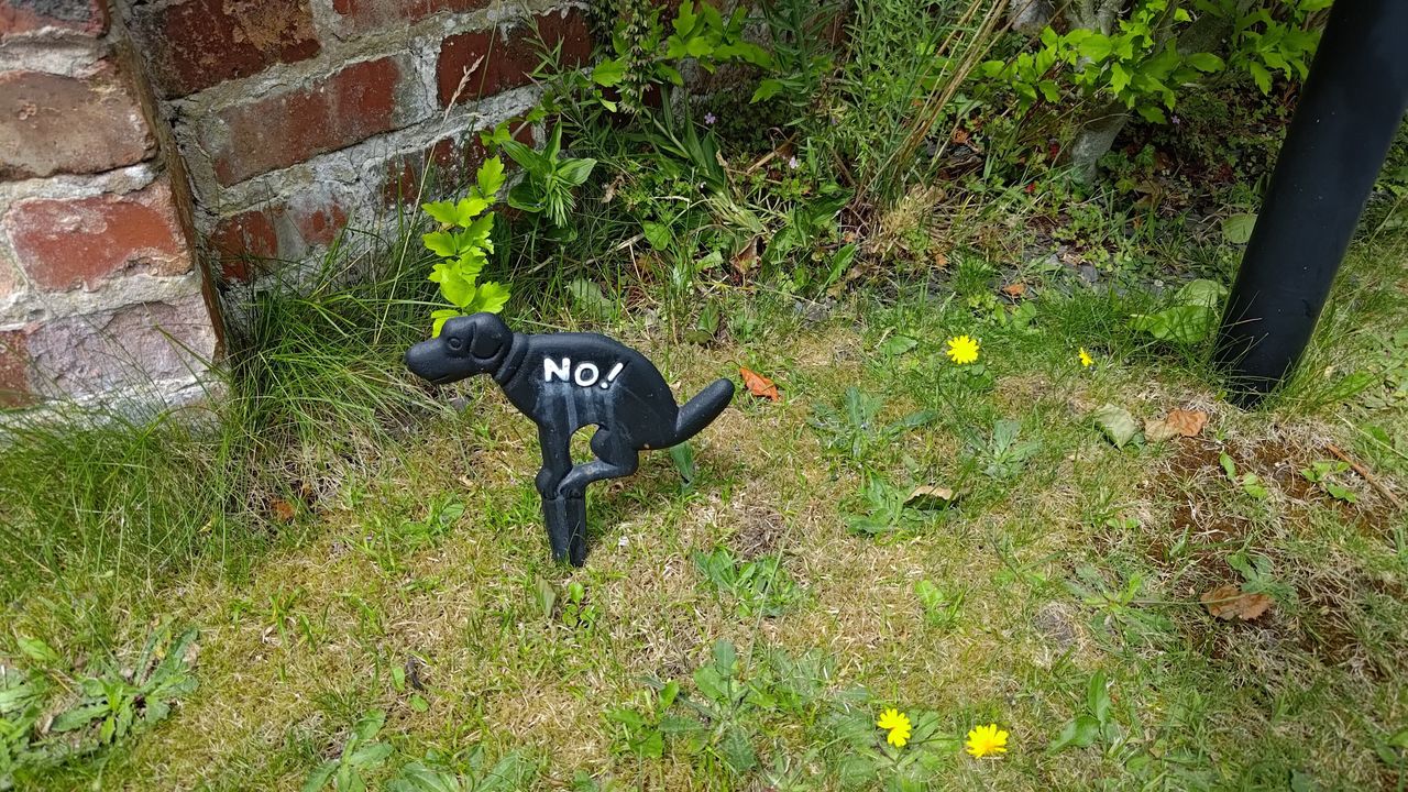 Internet ads firm’s CEO posts wild job description for 'A-players ...