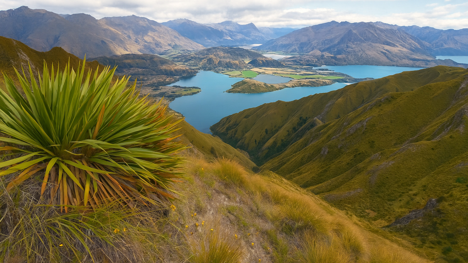 Lake Tekapo and Southern Alps, New Zealand in 4K