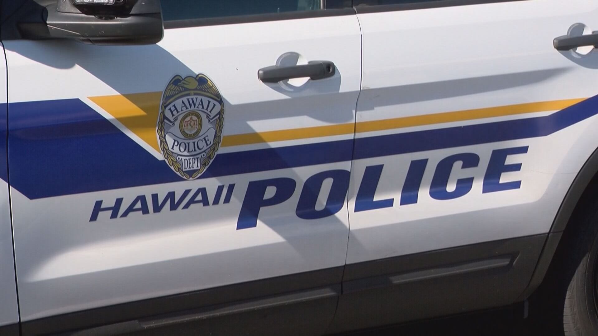 Victim identified in 2025 pedestrian crash in Hilo