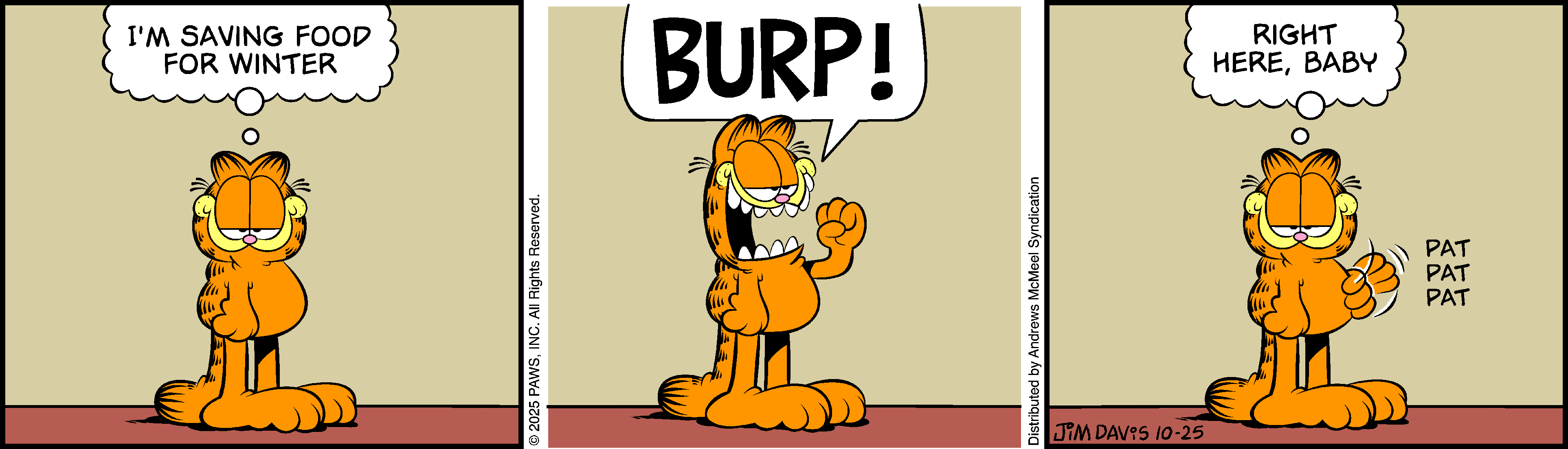 Garfield by Jim Davis