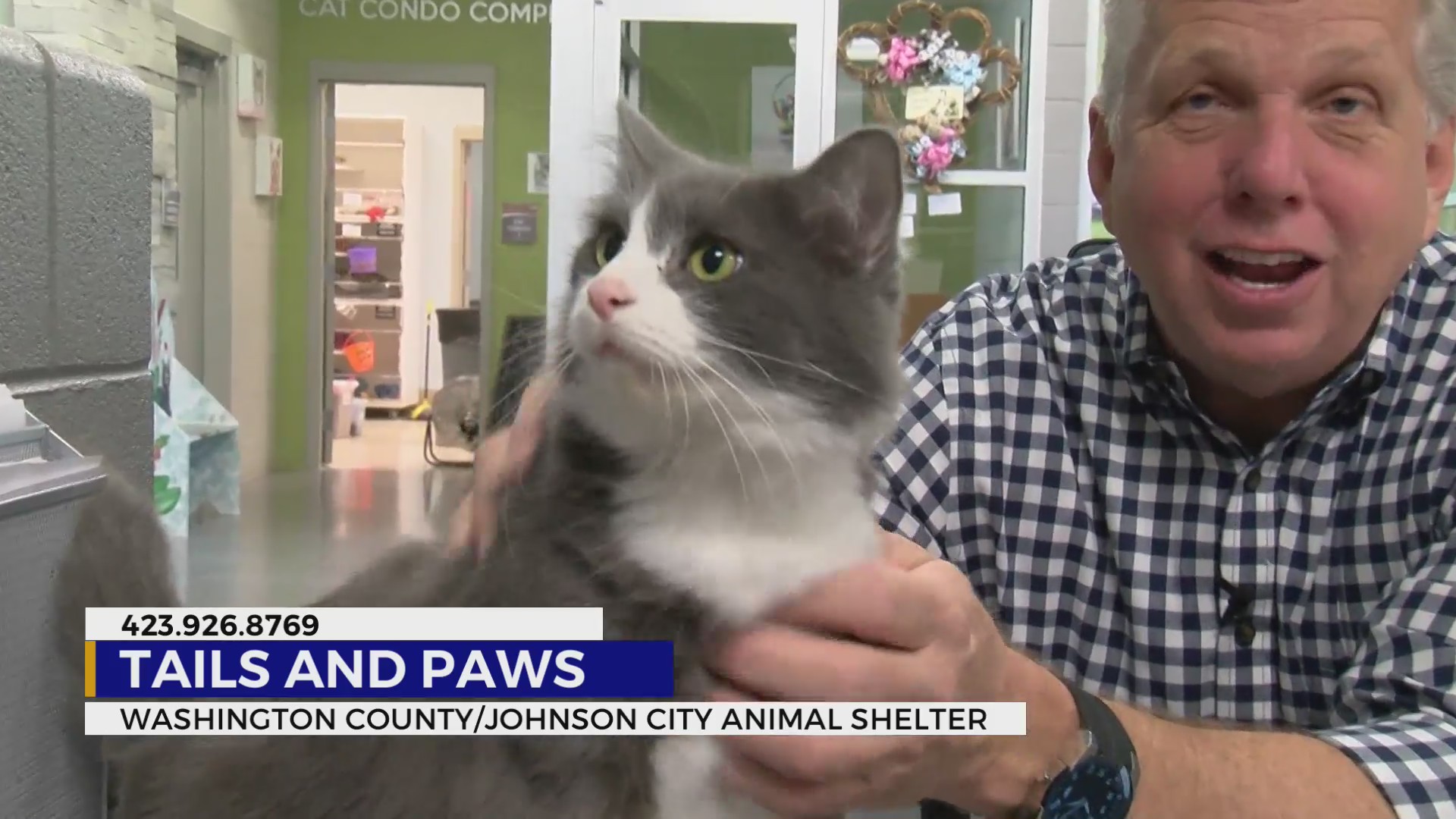 Here is your Tails and Paws for today