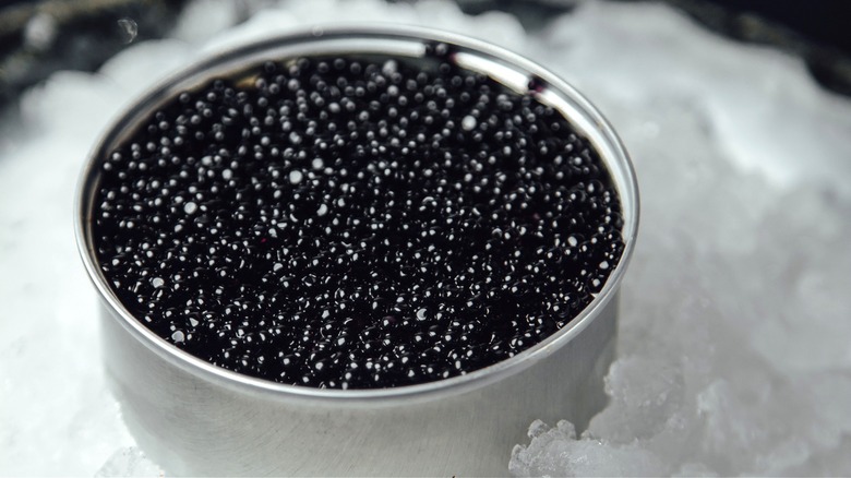 Imitation Caviar Vs Real: The Major Differences You Need To Know