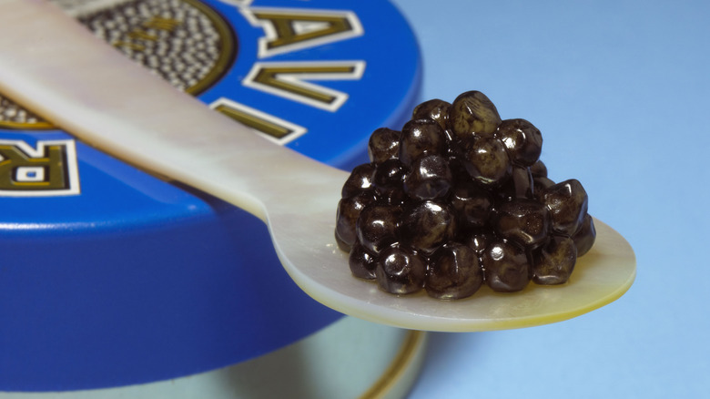 Imitation Caviar Vs Real: The Major Differences You Need To Know