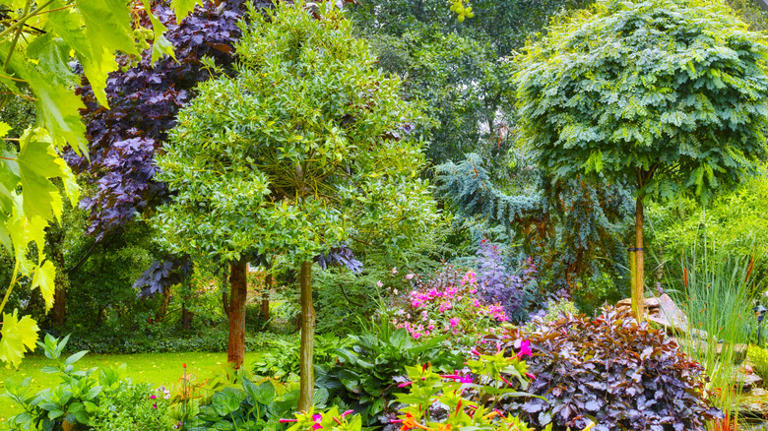 The Two Types Of Perennials Every Gardener Needs To Know