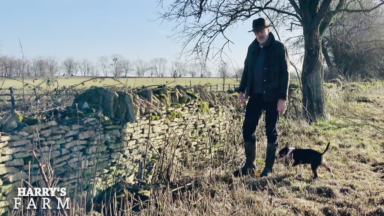 Spring Crop Check & Farm Infrastructure Plans