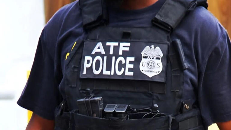 Former Undercover ATF Agent: Criminals Can Obtain Guns Anywhere in ...