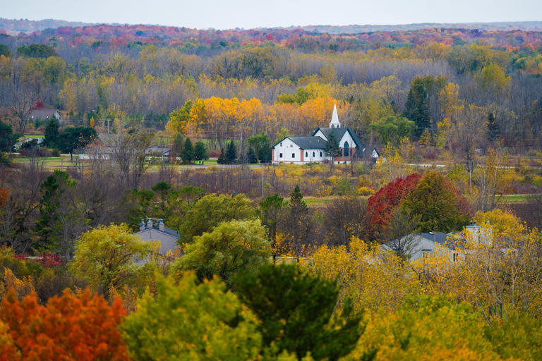 What's going on with leaf collection in Milwaukee after winter storm?