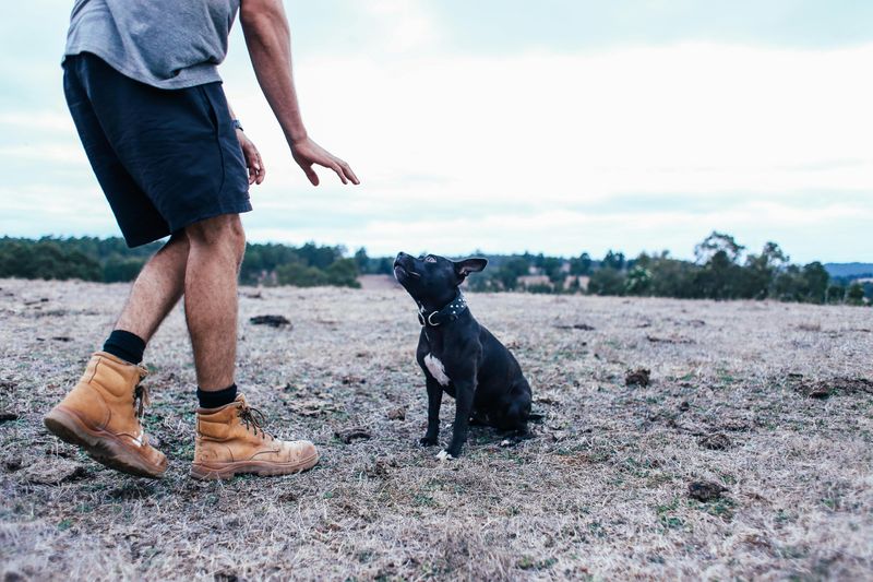 6 Habits That Confuse Your Dog And 5 Daily Rituals They Secretly Love