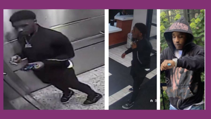 Suspect sought in murder of congressional intern wanted in second ...