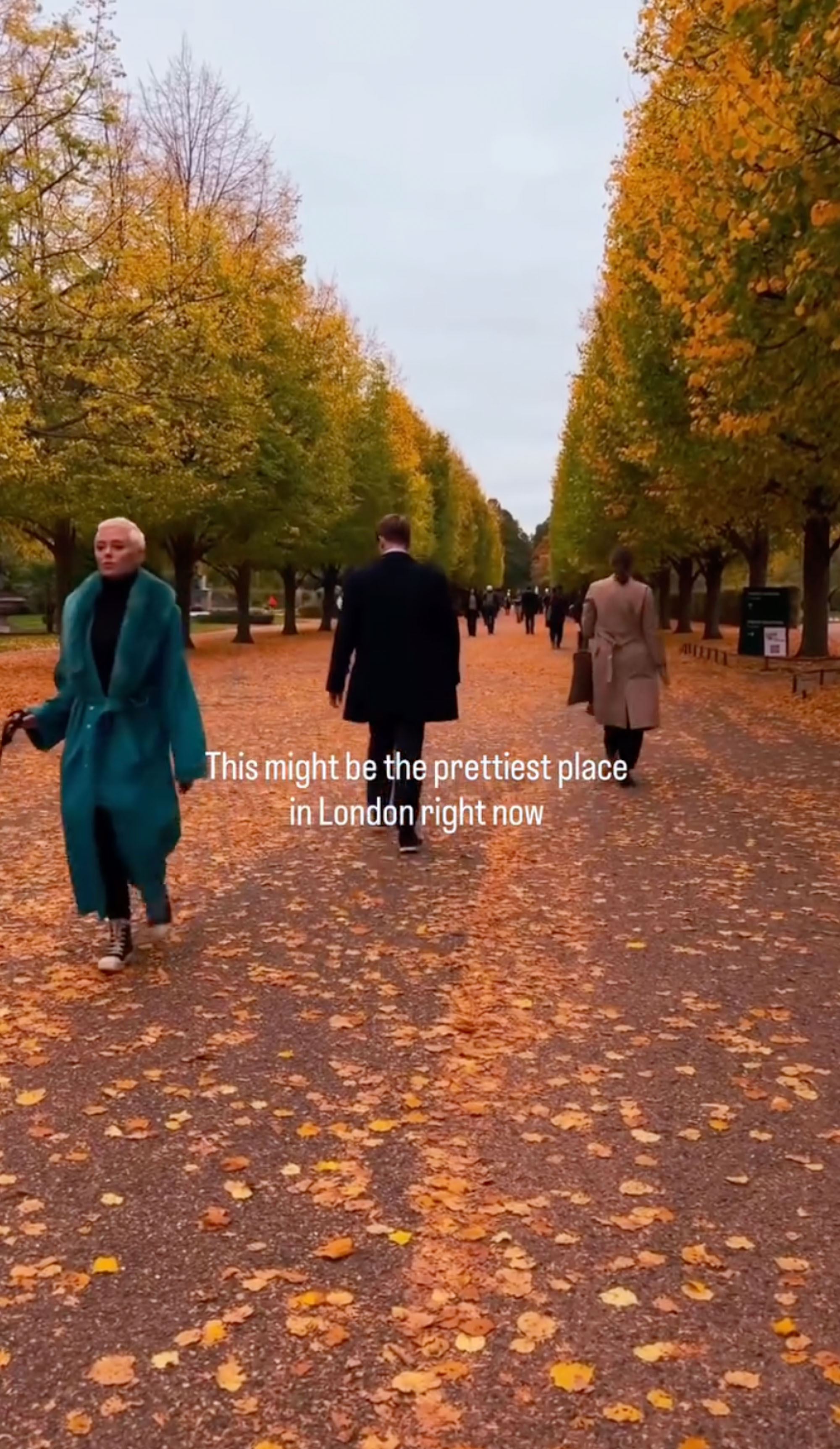 Iconic horror movie star photobombs TikTok video in London