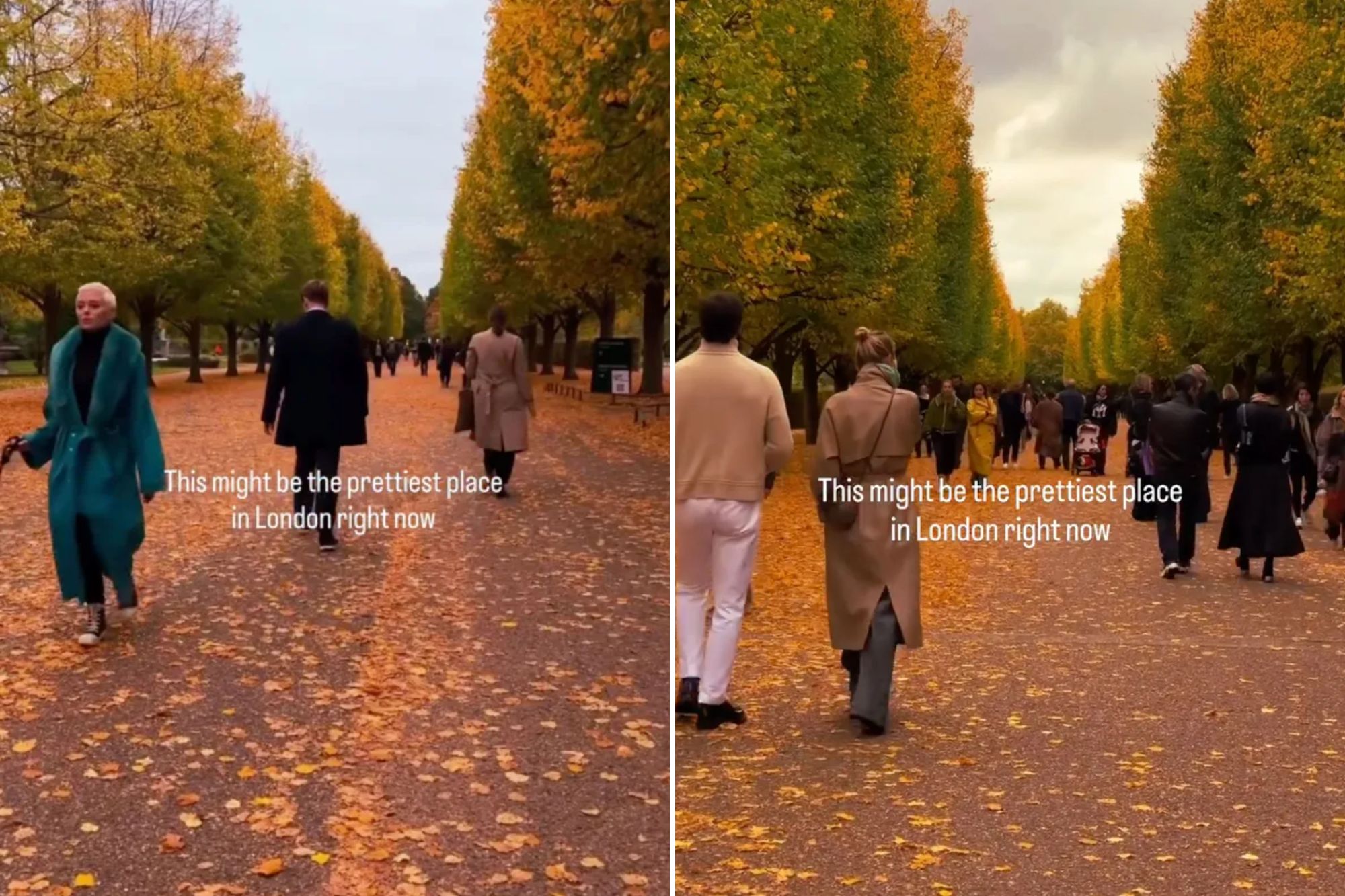 See this iconic US horror movie star photobomb TikTok video in London