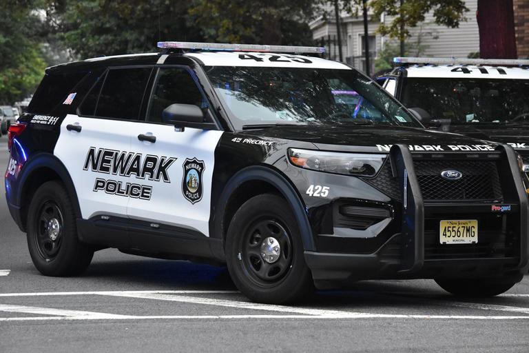 Photos of Monkeys on the Loose Prompted Cops to Investigate. Now ...