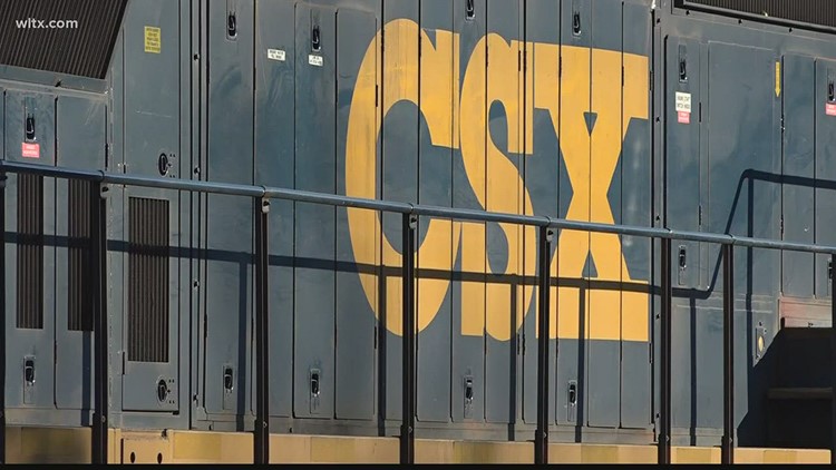Sumter man fishing with friend struck and killed by train in Clarendon ...