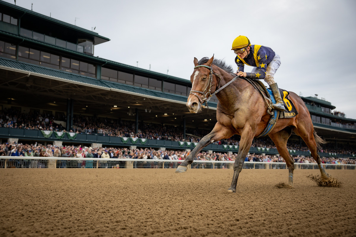 Impressive Bowman Mill Winner Gallivant Set For Ed Brown Stakes