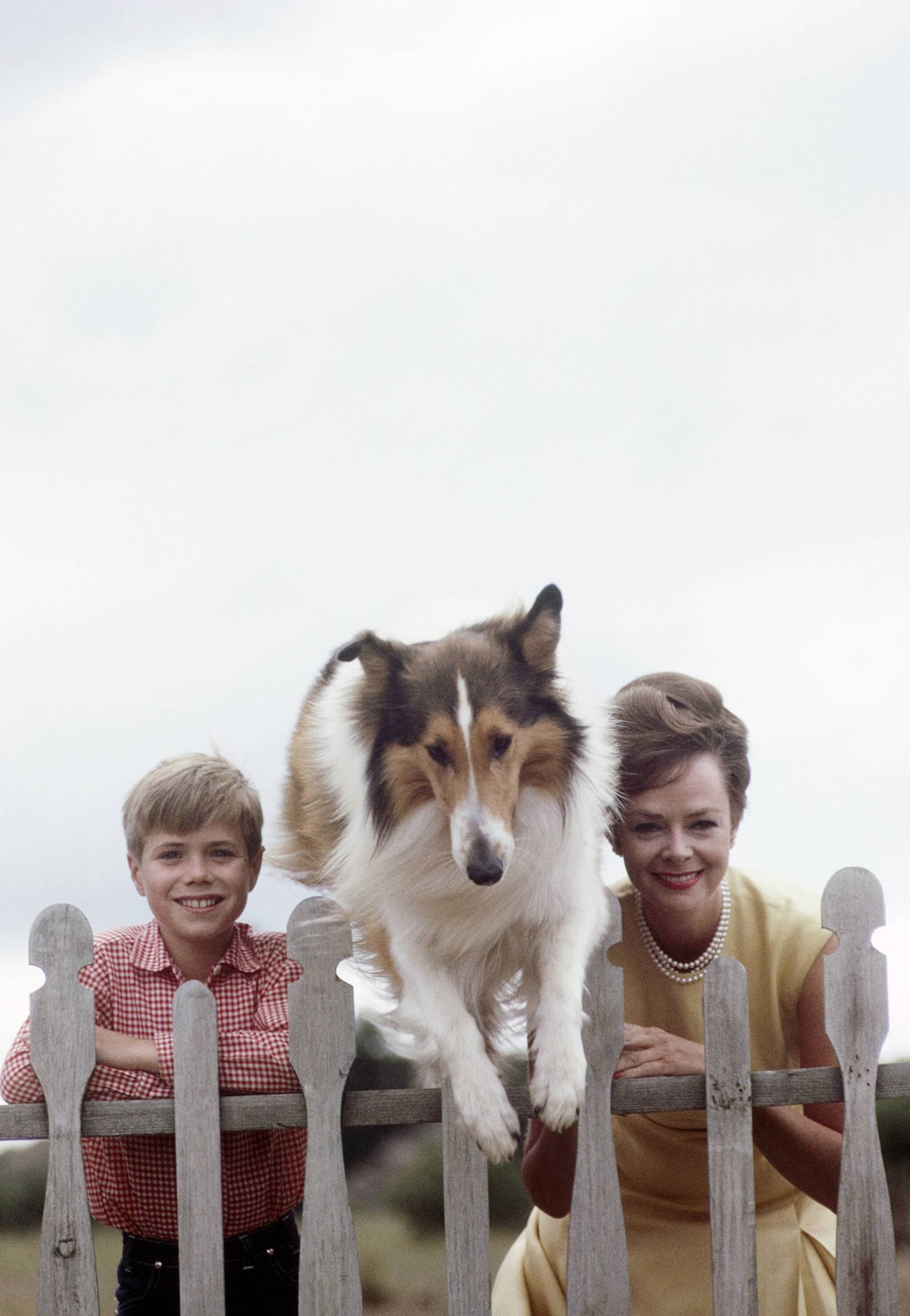 „Lassie“-Star June Lockhart mit 100 Jahren gestorben