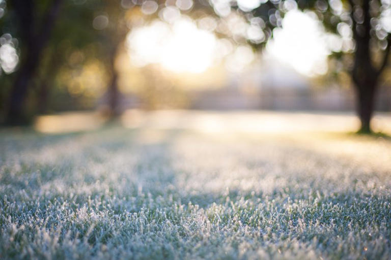 Goodbye 2025 Growing Season: Frost/Freeze alerts end after late October ...