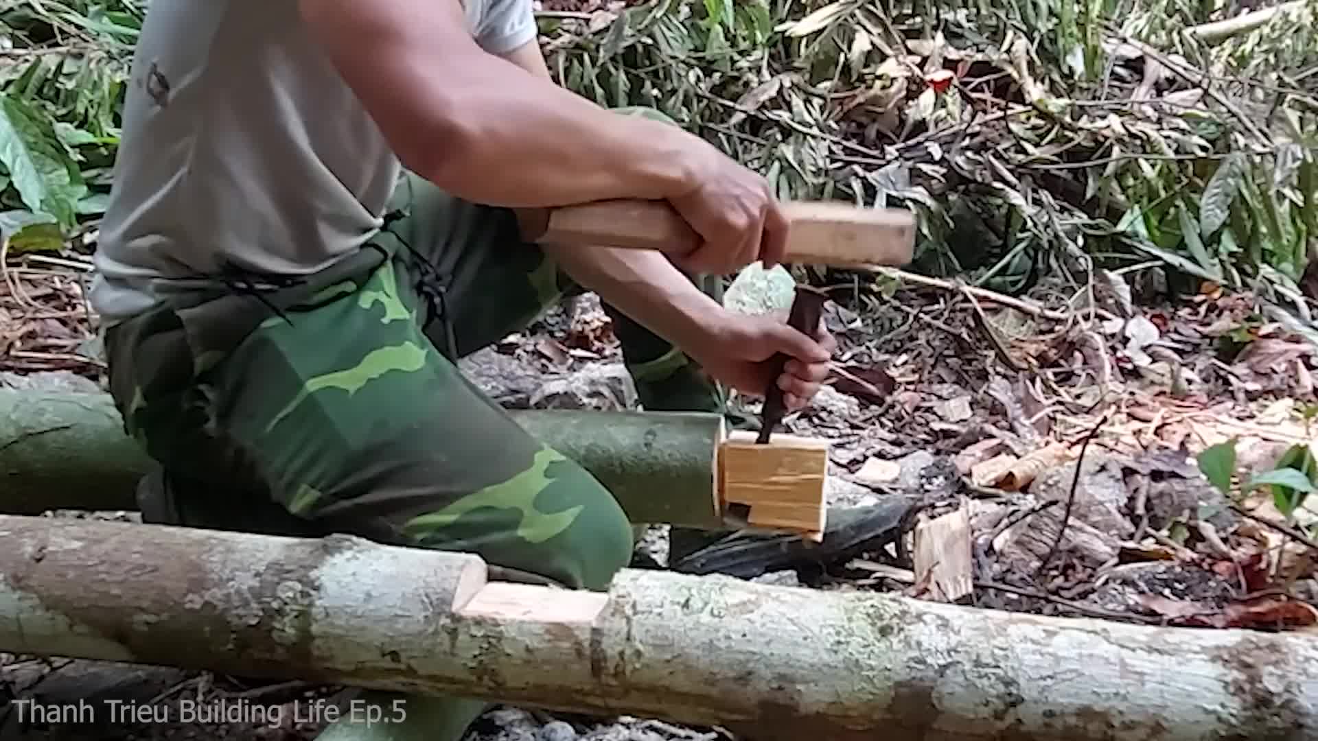 Off-grid life in northern Vietnam: Wooden house & animal farm
