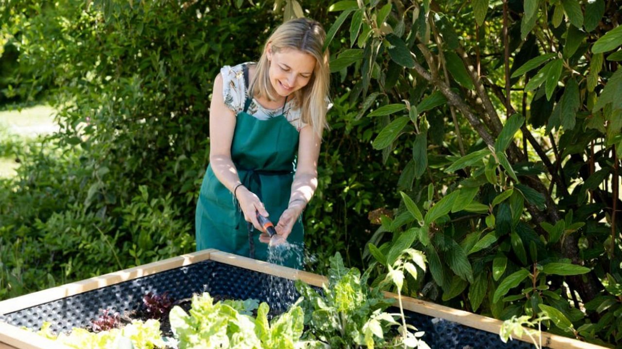 What a $50 weekend project can change on the homestead