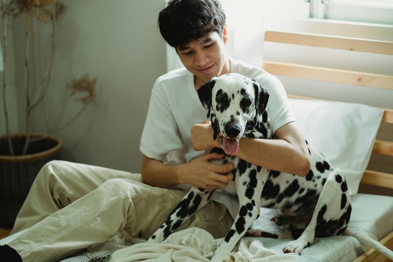 6 Habits That Confuse Your Dog And 5 Daily Rituals They Secretly Love