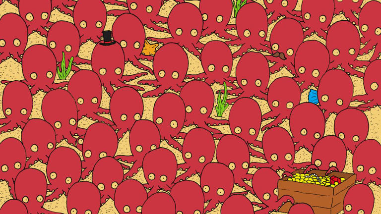 You Are Highly Observant With A Super Sharp Brain If You Can Spot A ...