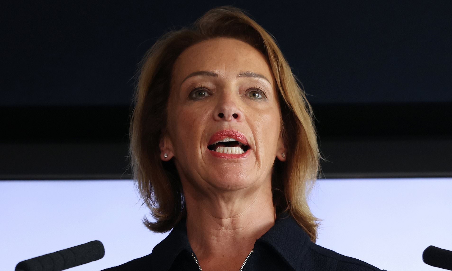 Reform MP says sorry after complaining about adverts 'full of black ...