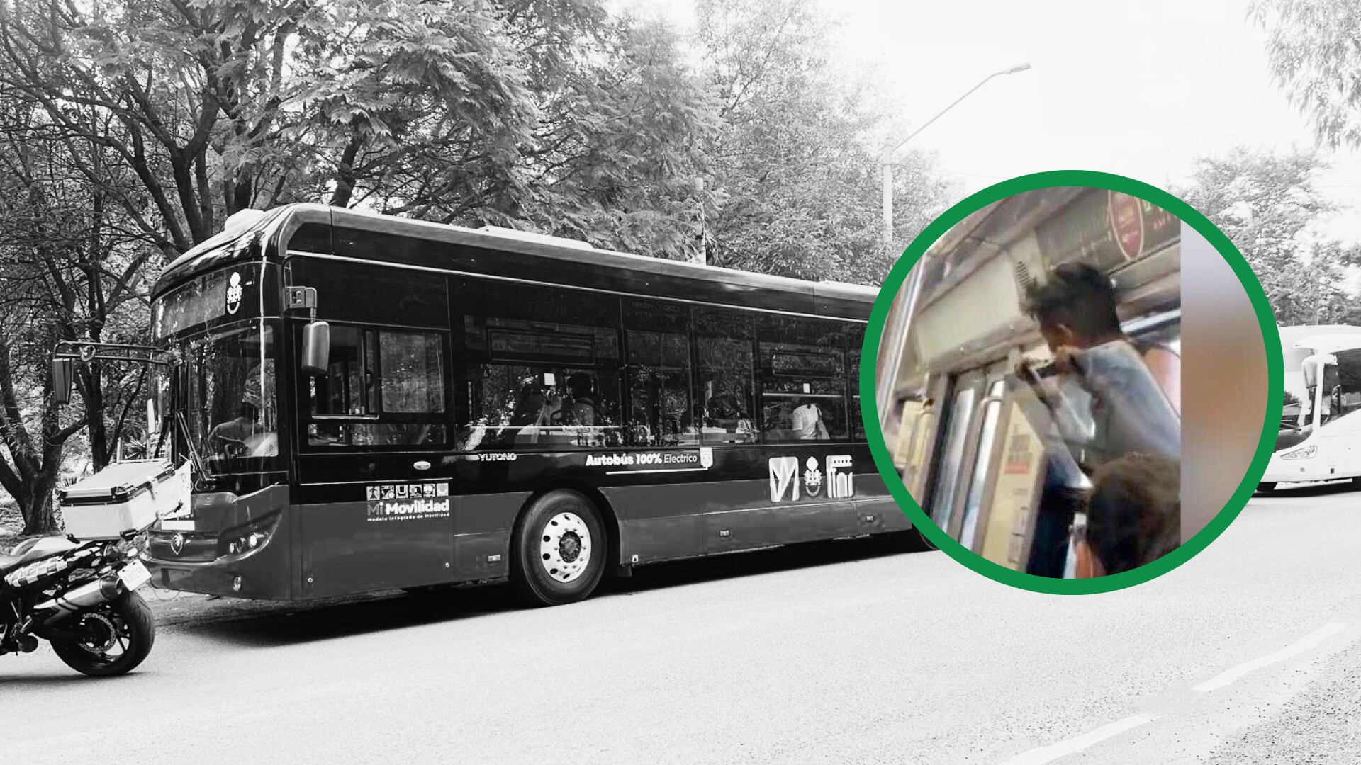 Así murió hombre tras golpearse en la ventana del Tren Ligero; intentó ...