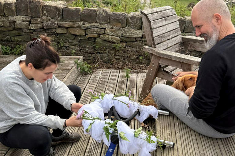 Couple who fell in love at animal sanctuary get married with disabled ...